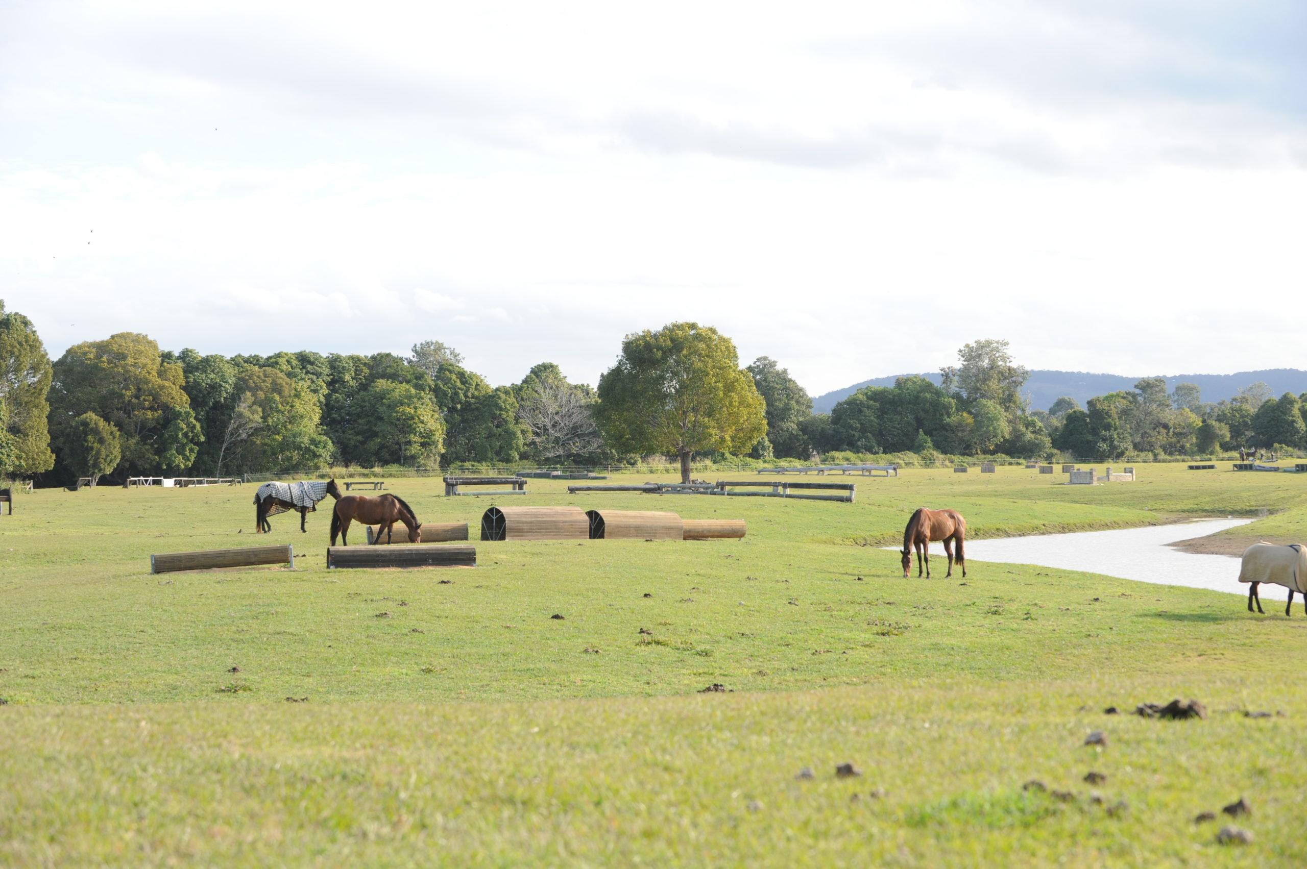 BURPENGARY EQUESTRIAN CENTRE INC | Burpengary Equestrian Centre